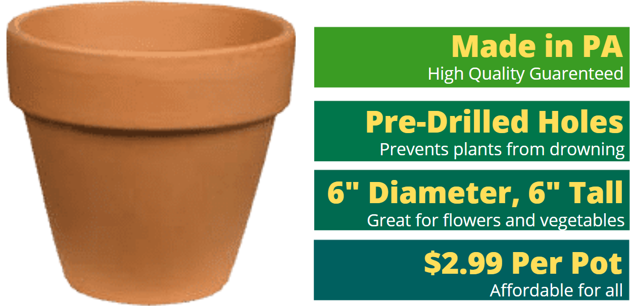 Hannah's Testing - HU Enrichment